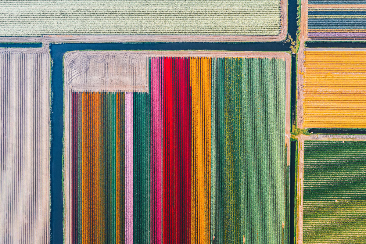 A flexible toolkit to help grow a European footprint - Carne