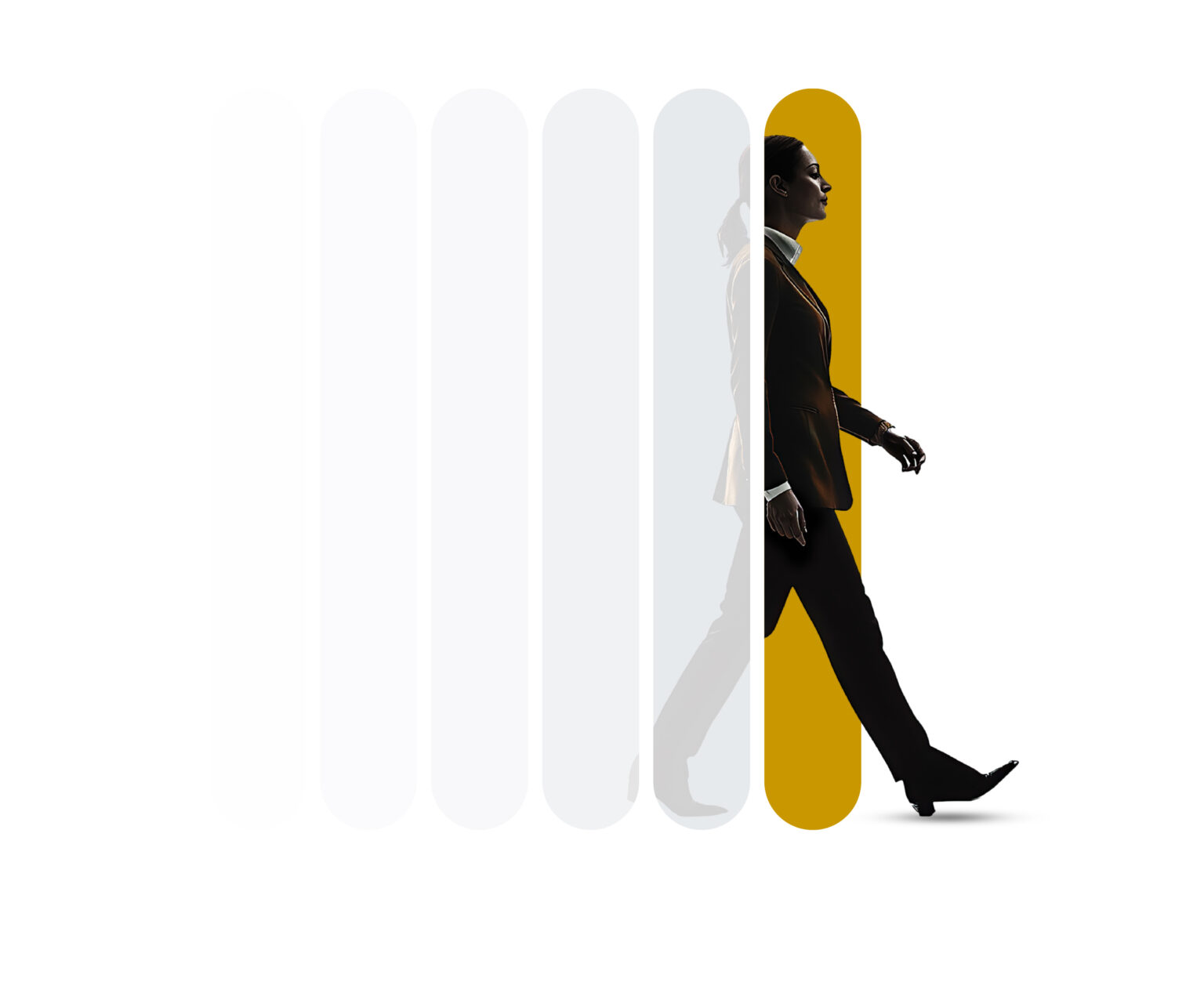 Carne — Unity through simplicity™