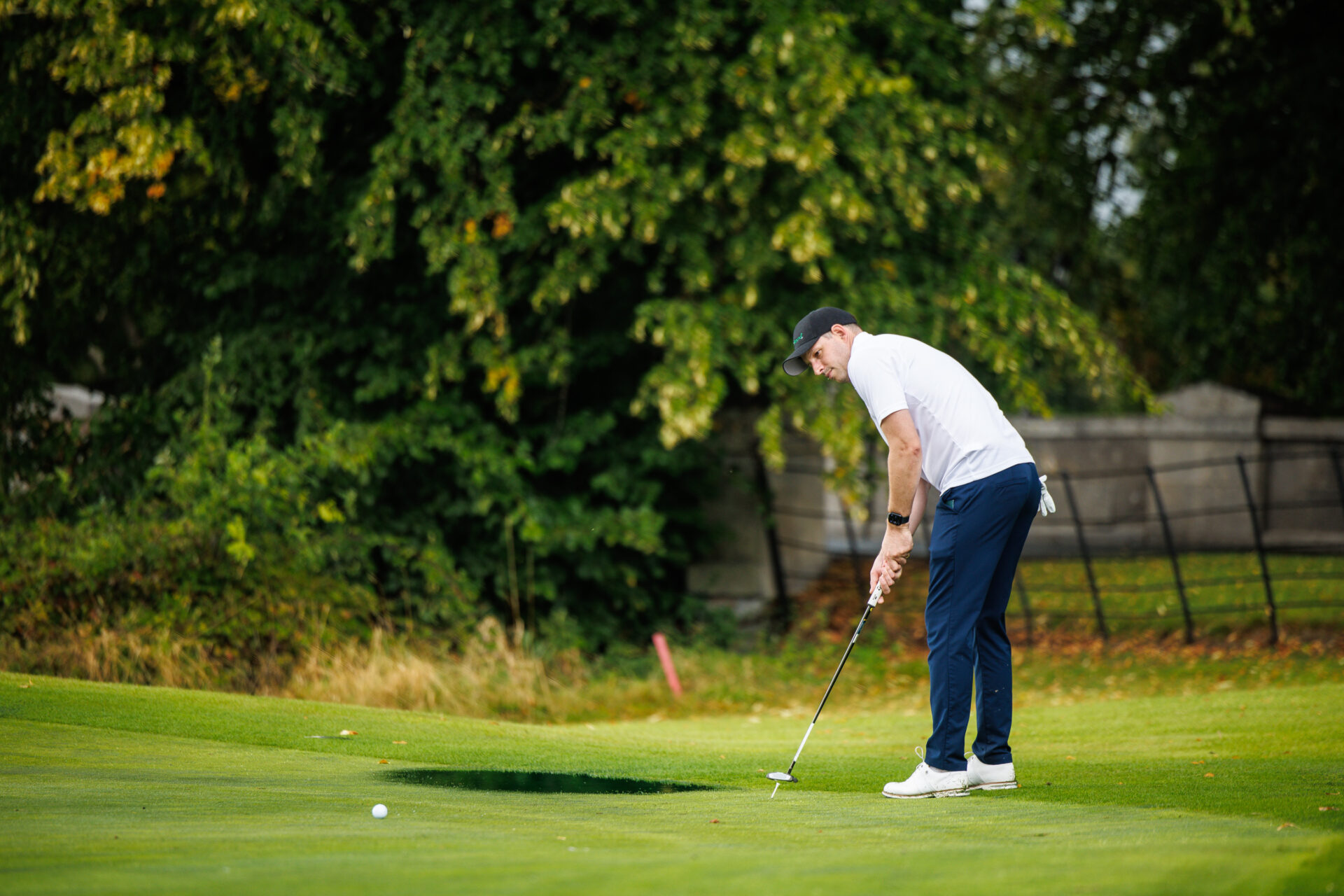 Carne Access - Carne