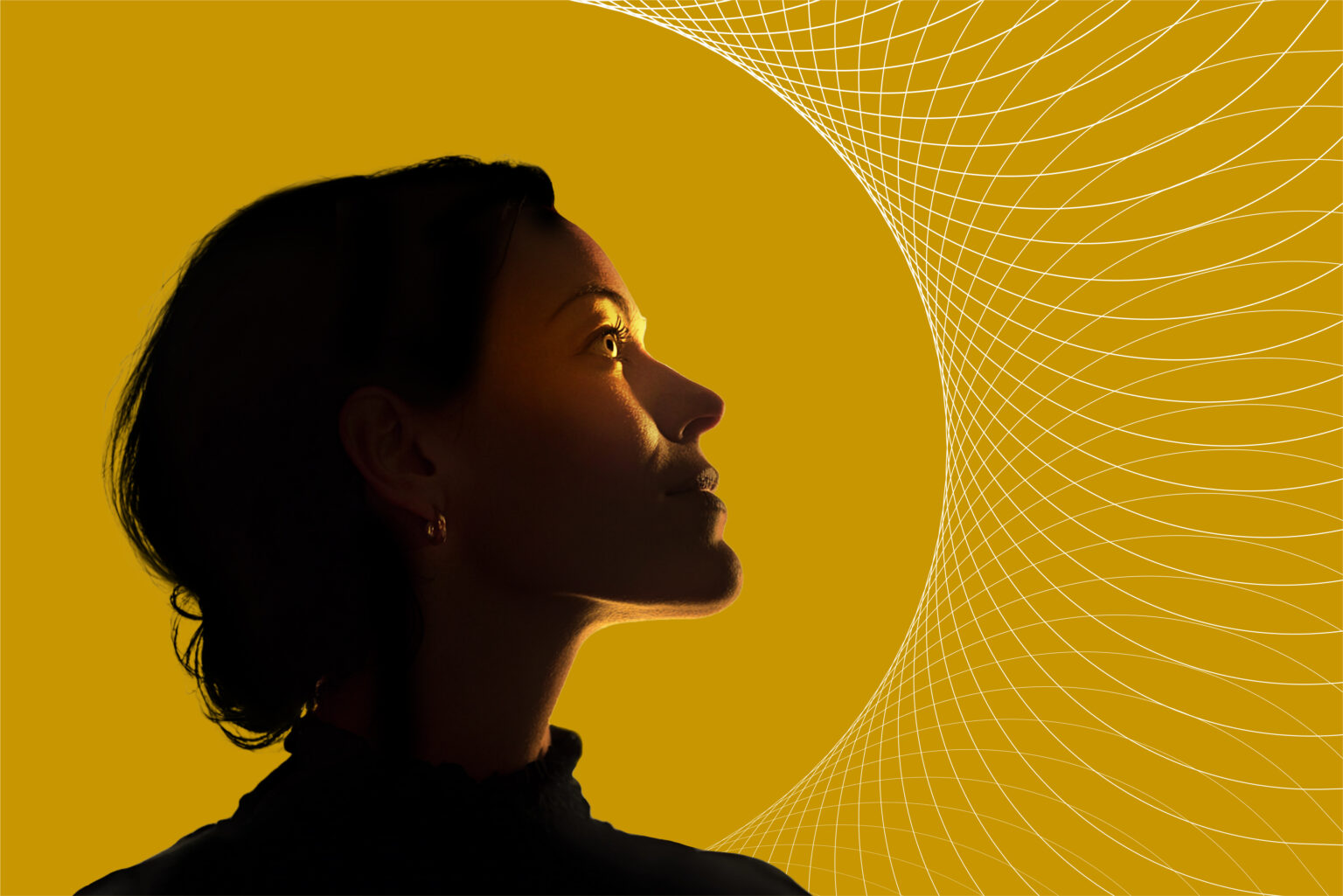 Carne — Unity through simplicity™